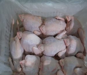 Frozen Chicken Parts – EUROLOG SP ZOO